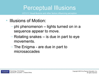 PSYC1101 Chapter 3 Powerpoint | PPT