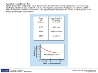 PSYC1101 Chapter 6 PowerPoint | PPT