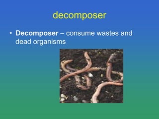 3 Ecology_review.ppt