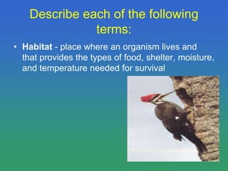 3 Ecology_review.ppt | Biological Sciences | Science