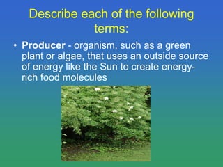 3 Ecology_review.ppt