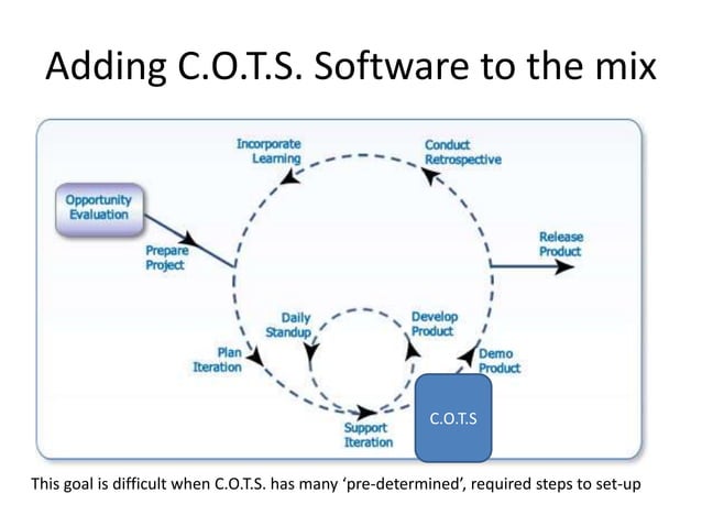 Using Agile Development Methodology in a COTS Environment-Yes, we did ...