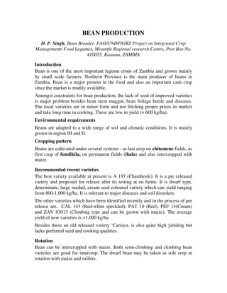 BEAN PRODUCTION | PDF