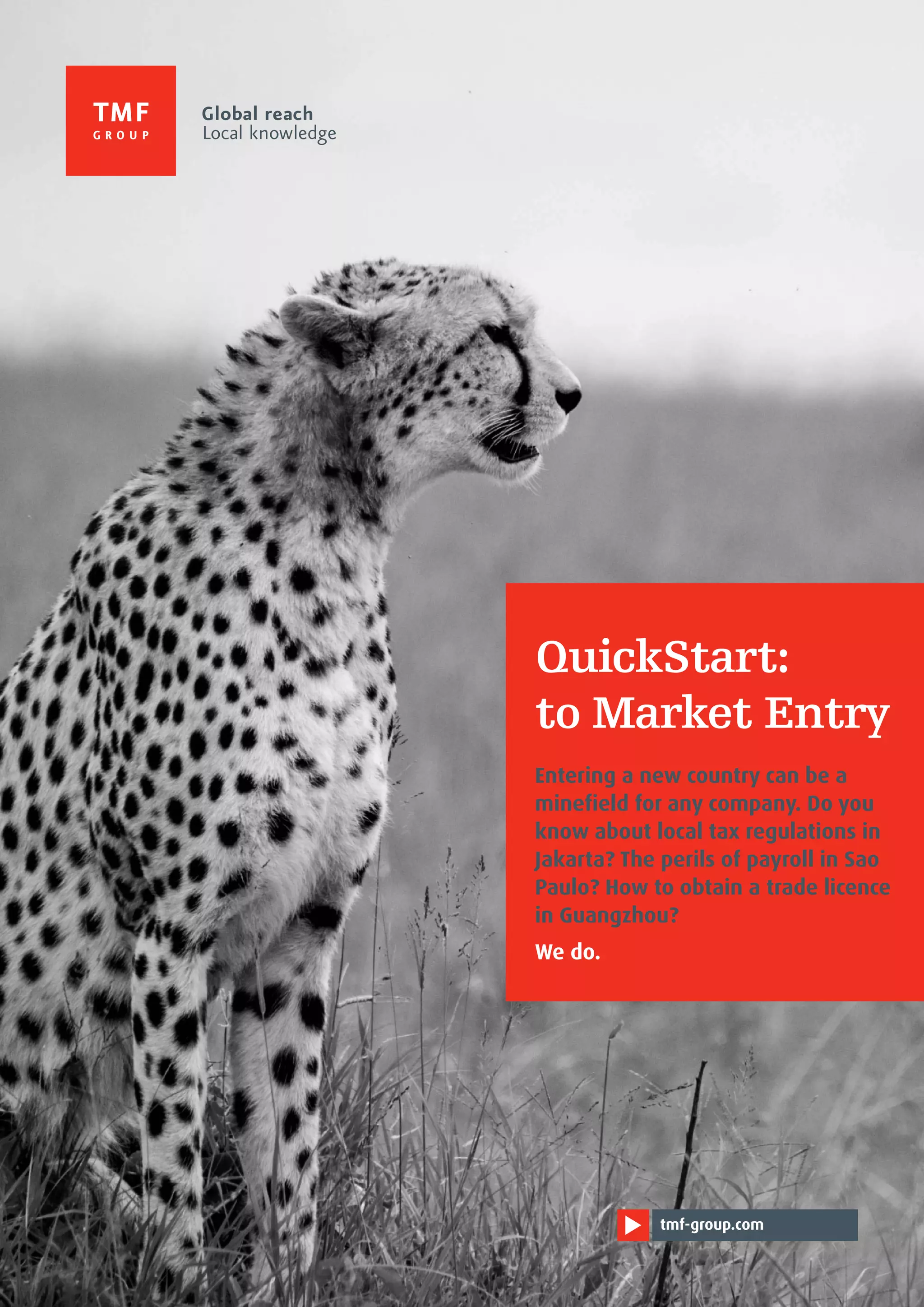 QuickStart to Market Entry | PDF