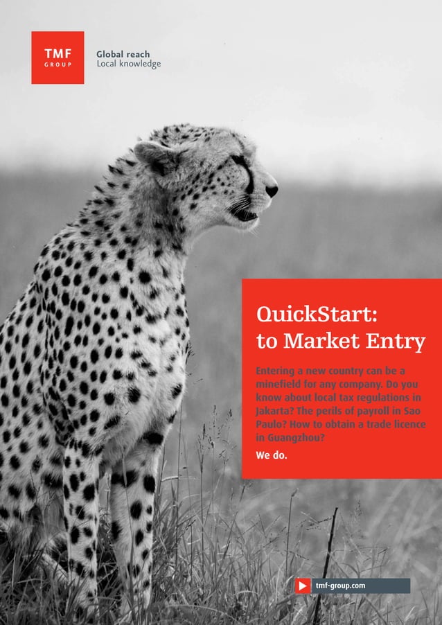QuickStart to Market Entry | PDF