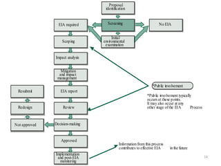 Environmental Impact Assessment (EIA).pdf