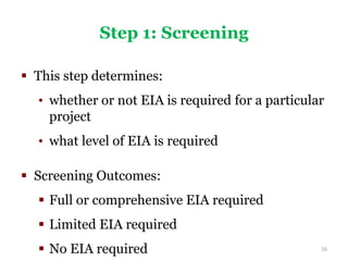 Environmental Impact Assessment (EIA).pdf