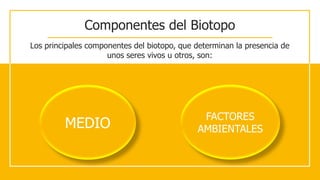 3) El biotopo y la biocenosis.pdf