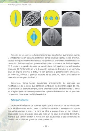 3 el grano de polen morfología,estructura y diversidad | PDF