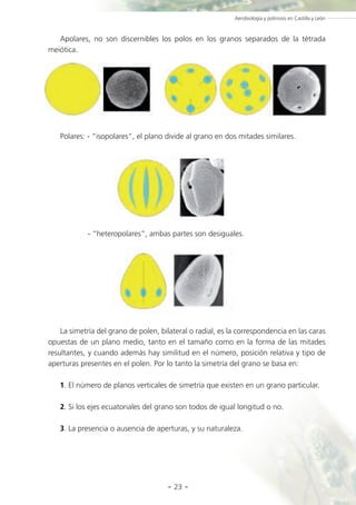 3 el grano de polen morfología,estructura y diversidad | PDF