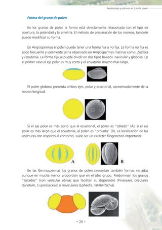 3 el grano de polen morfología,estructura y diversidad | PDF