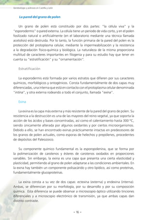 3 el grano de polen morfología,estructura y diversidad | PDF