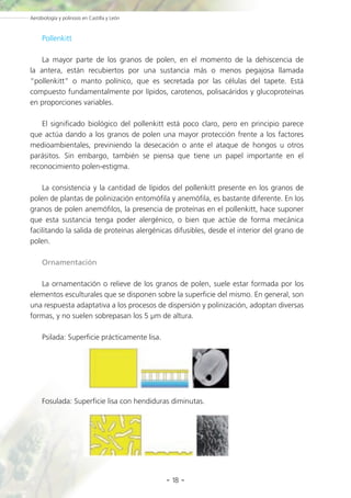 3 el grano de polen morfología,estructura y diversidad | PDF