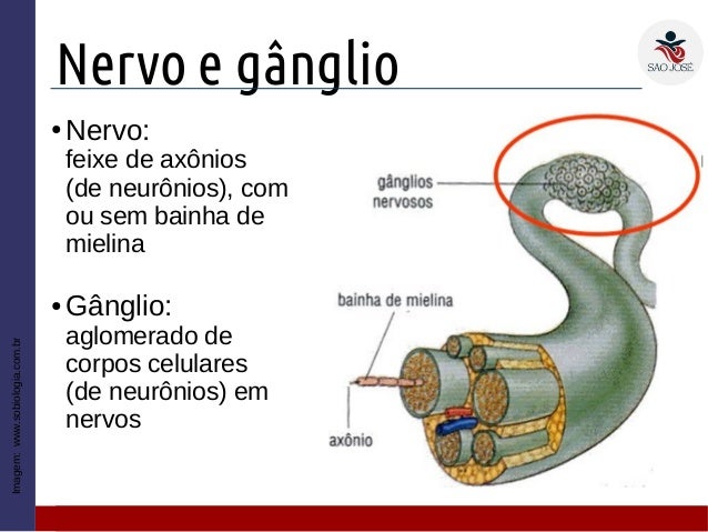 3EM #03 SN. Periferico