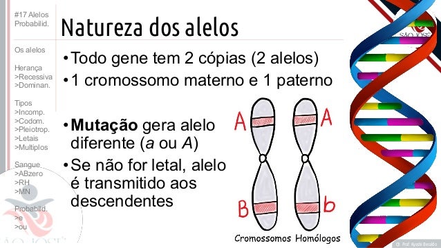 3EM #17 Alelos e Probabilidade (2016)