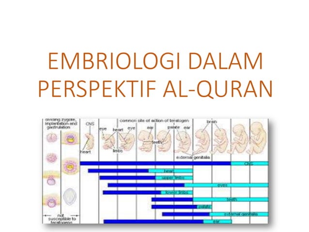(3) EMBRIOLOGI DALAM PERSPEKTIF AL-QURAN.pdf
