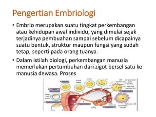 (3) EMBRIOLOGI DALAM PERSPEKTIF AL-QURAN.pdf