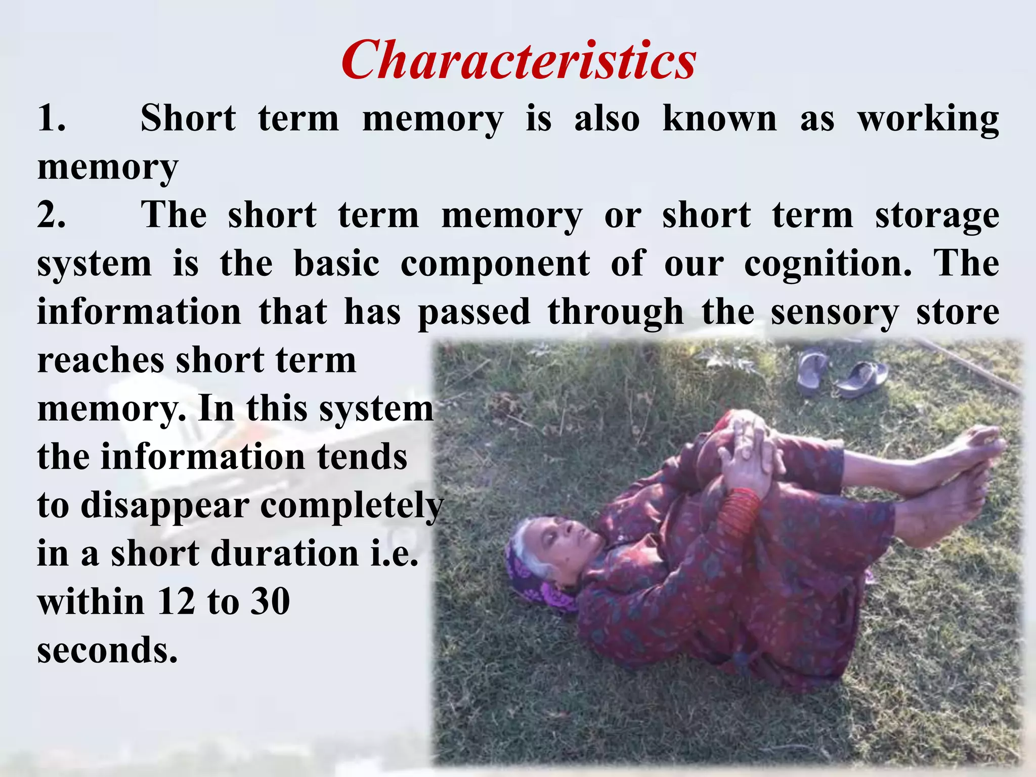 Short Term Memory Stm Ppsx Operating Systems Computer Software And Applications