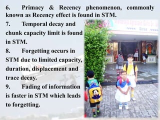 short term memory (STM) | PPSX