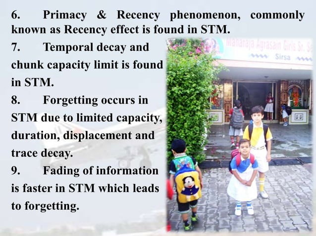 short term memory (STM) | PPSX | Operating Systems | Computer Software and Applications