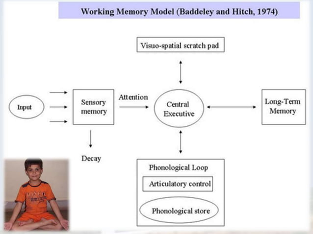 short term memory (STM) | PPSX | Operating Systems | Computer Software and Applications