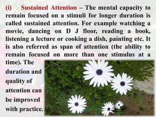 Types of attention (Four Major types and others) | PPSX