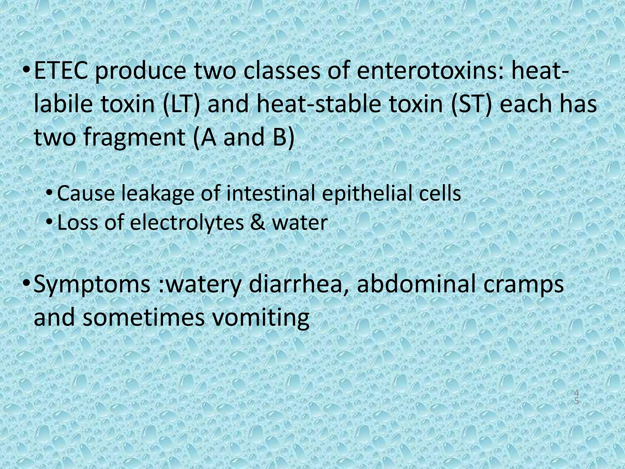 3 Enteric bacteria E.coli Klebsiella-1.pptx
