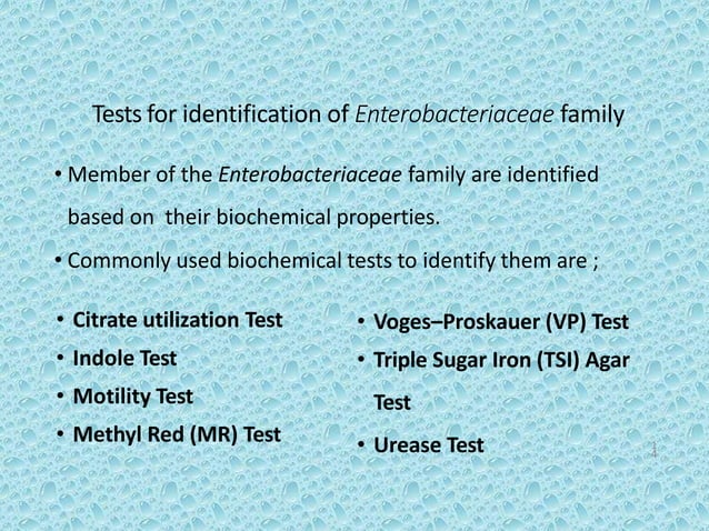 3 Enteric bacteria E.coli Klebsiella-1.pptx