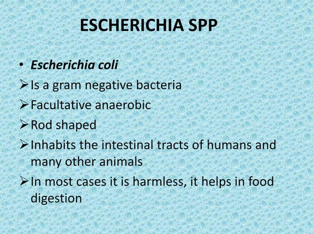 3 Enteric bacteria E.coli Klebsiella-1.pptx