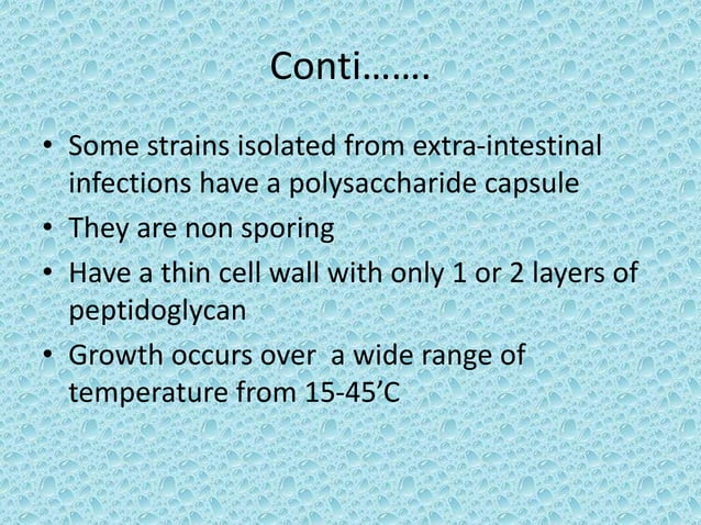 3 Enteric bacteria E.coli Klebsiella-1.pptx