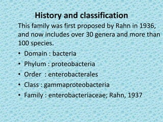 3 Enteric bacteria E.coli Klebsiella-1.pptx