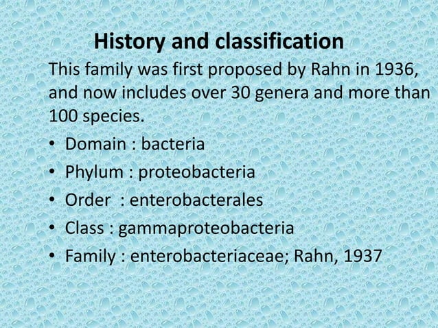 3 Enteric bacteria E.coli Klebsiella-1.pptx