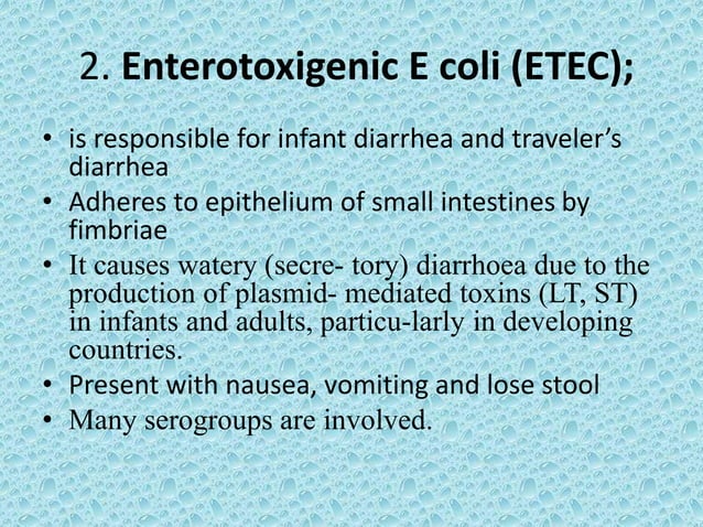 3 Enteric bacteria E.coli Klebsiella-1.pptx