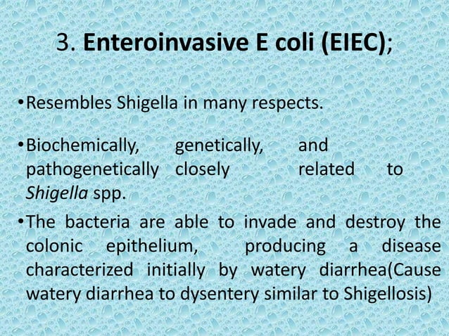 3 Enteric bacteria E.coli Klebsiella-1.pptx