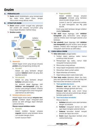Enzim (Enzyme) | PDF