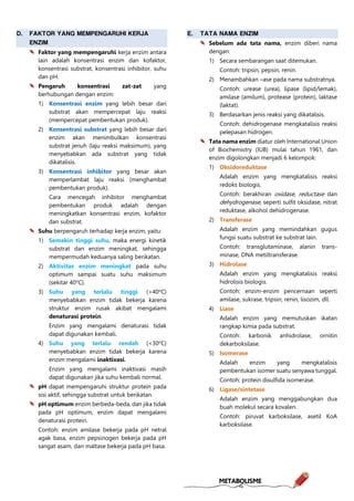 Enzim (Enzyme) | PDF