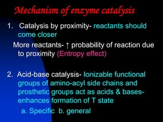 3 enzyme kinetics | PPTX