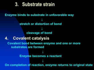 3 enzyme kinetics | PPTX