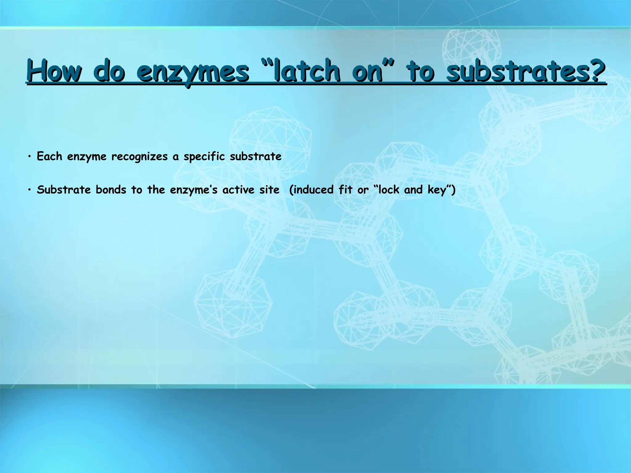 Powerpoint Reviewing the Basics of Enzymes | PPT