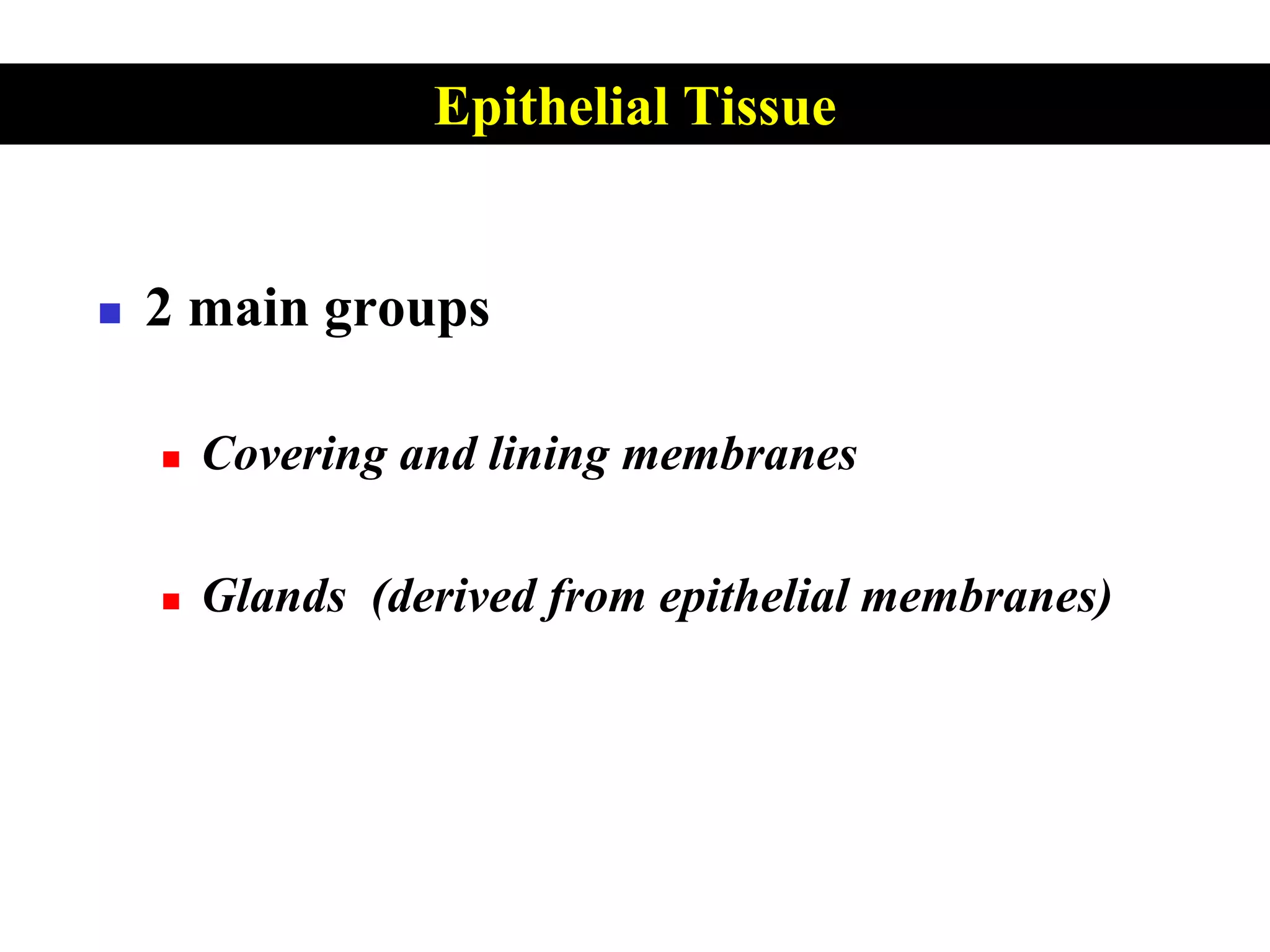 Epithelial Tissue.pdf