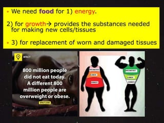 Digestive System short 2019 | PPTX