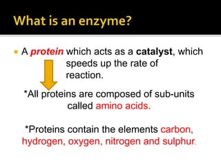 3ero 4 enzymes mine | PPT