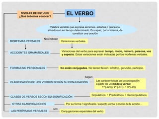 El verbo | PPT