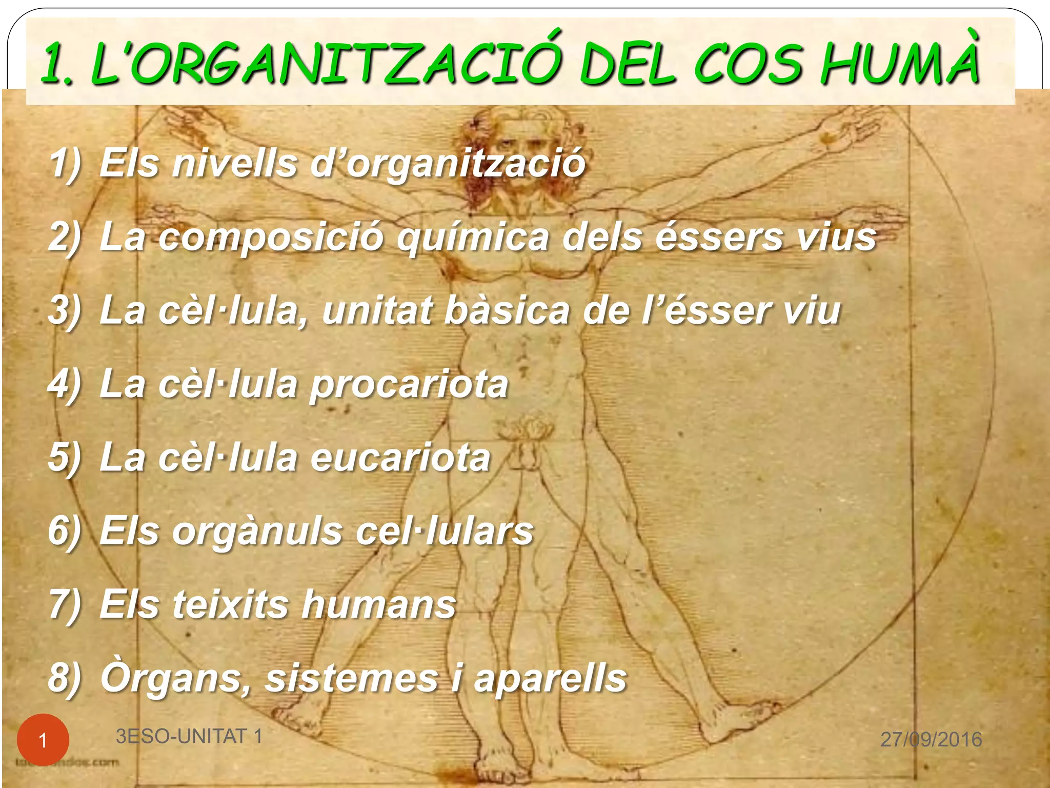 3 eso u1 l'organitzacio del cos huma (1) | PDF
