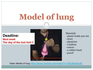 Research_project_instructions | PPTX | Lung and Respiratory Health ...