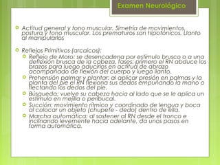 3 examen fisico del recien nacido | PPT