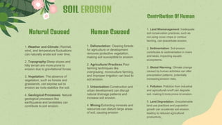 EVS_SoilPollutionProject_X2_Group4_(1).pptx | Indoor Environmental ...