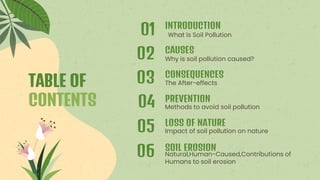 EVS_SoilPollutionProject_X2_Group4_(1).pptx