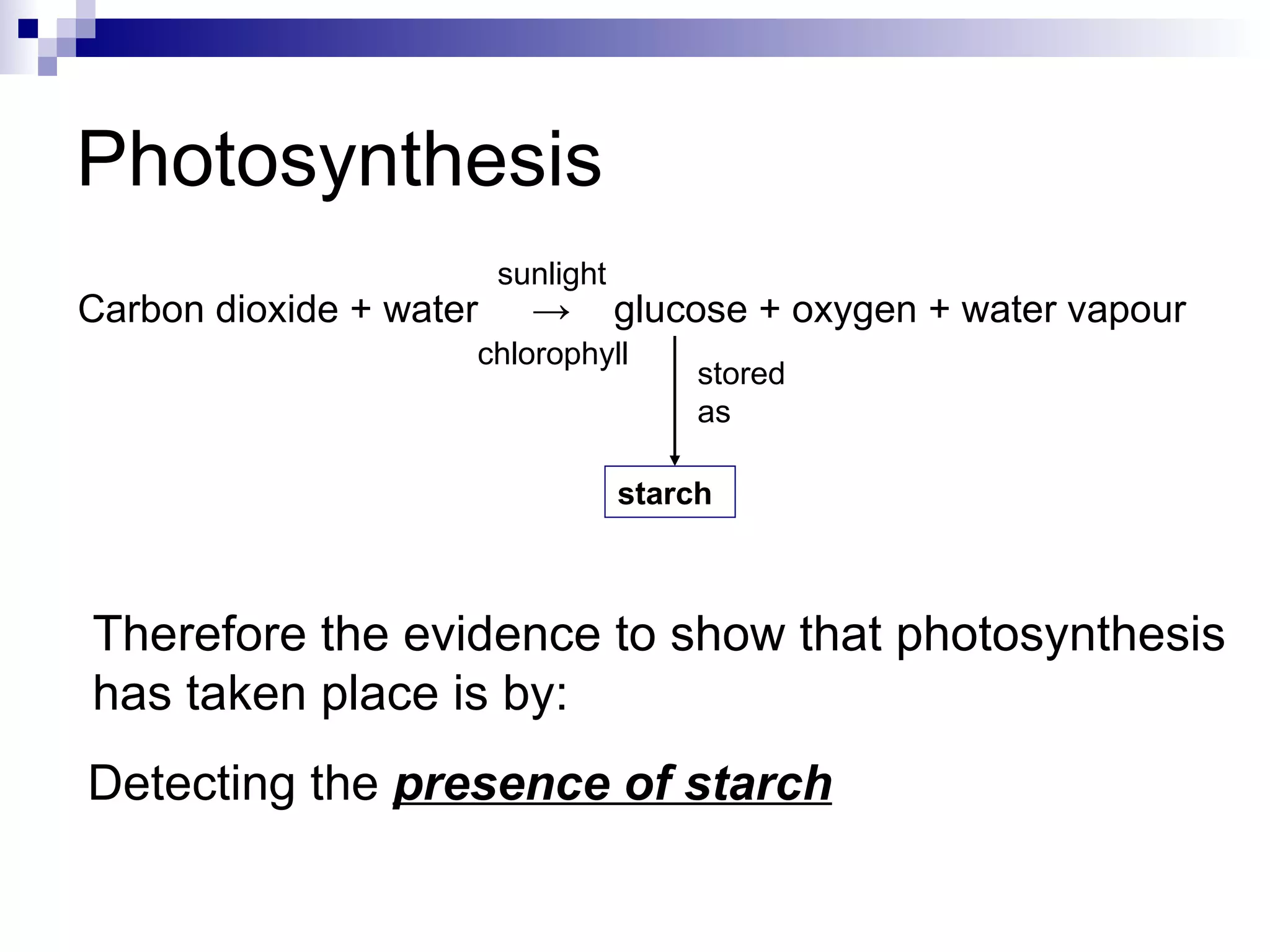 Chapter 7 Nutrition in Plants Lesson 3 - Experiments testing for ...