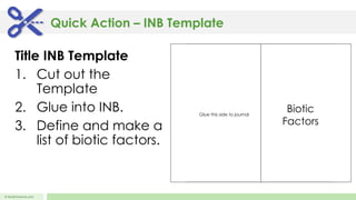 3+Explanation+-+Abiotic+and+Biotic+Factors.pptx